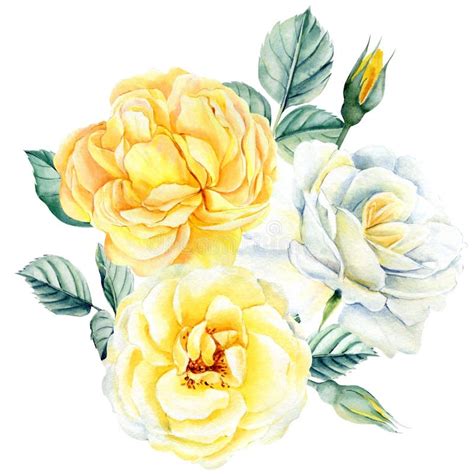 Ramo De Flores Rosas Amarillas Sobre Fondo Blanco Aislado Acuarela