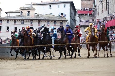 La Prova Generale Del Palio Di Siena Del 2 Luglio 2023 FOTO