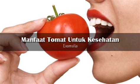 Manfaat Tomat Untuk Kesehatan Eva Mulia Clinic