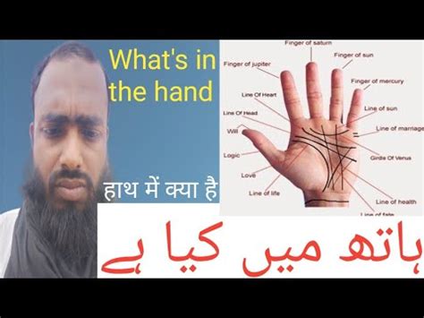 palmistry palm reading hand line hath ki lakeer हसत रख वजञन