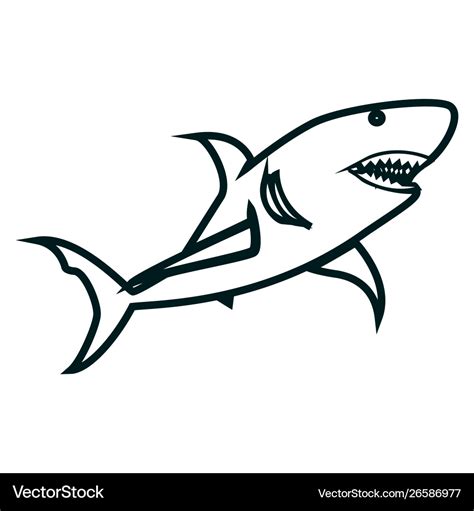 Shark Line Art Simple Outline Design Royalty Free Vector