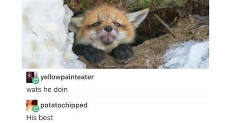 The 49 Funniest Tumblr Posts Of 2017