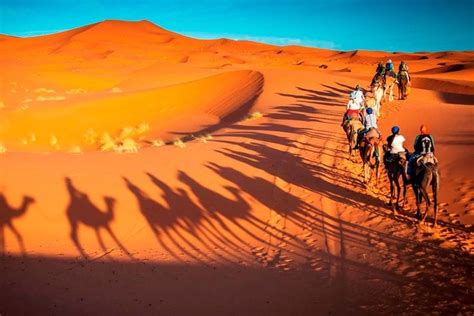 Tour Privado De Emiratos Rabes Unidos Los Esplendores Del Desierto