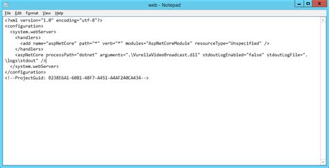 C Net Core Hosting In IIS Error Reading The Web Config File