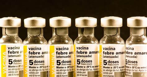 Proyecto para avance en la producción de vacuna contra la fiebre