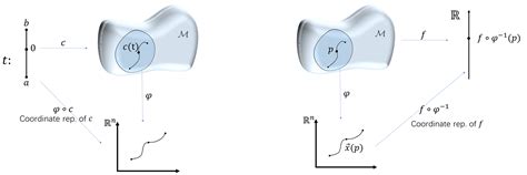 vectors and one forms on manifold pointing to the moon