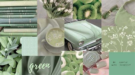 200 Sage Green Aesthetic Wallpapers Wallpapers
