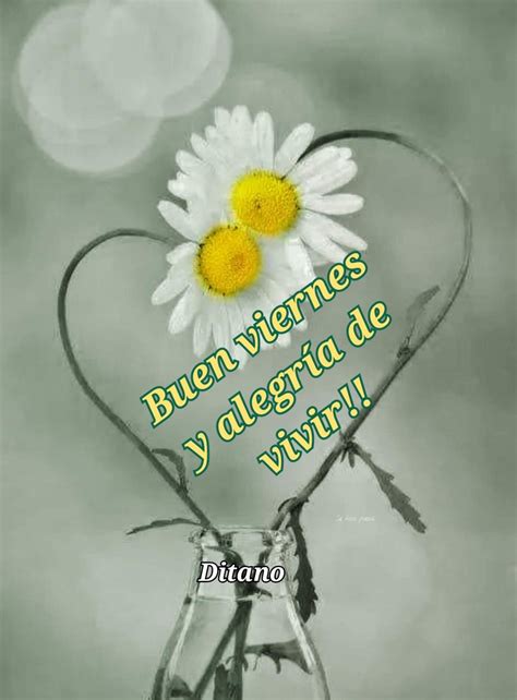 45 Buenos Días Feliz Viernes imágenes ImagenesMuyBonitas net