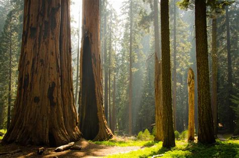 Le top 10 des parcs nationaux à visiter aux Etats Unis Vacances America