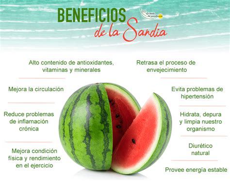 Estos Son Los Incre Bles Beneficios De Comer Sandia Todos Los Dias