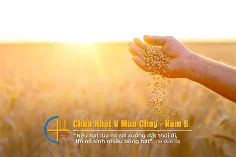 Chuyện Minh Họa Tin Mừng Chúa Nhật Bài 145 Mùa Chay 5 B Giá trị của đau khổ