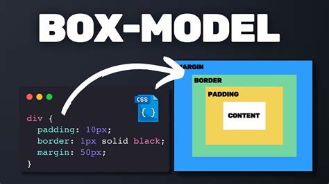 Learn Css Box Model In Minutes Youtube