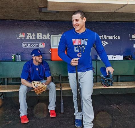 BRYZZO Chicago Cubs Baseball Cubs Players Chicago Cubs Fans