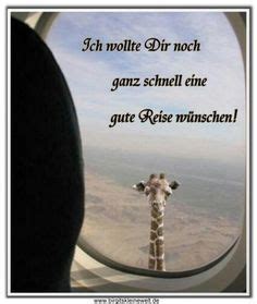 140 Urlaub Ideen in 2024 urlaub sprüche urlaub urlaub lustig
