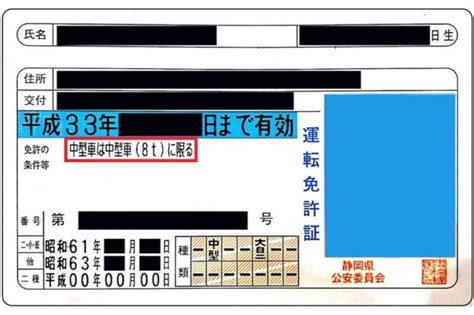 激レア最強の免許証フルビット免許とは取得方法や費用を徹底解説 MOBY モビー
