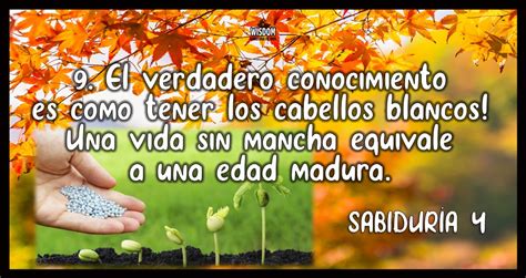 Sabiduría Capítulo 4 Mosqueteros de Yehovah