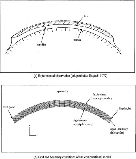 figure 6 from 10 cartesian and curvilinear grid methods for multi domain moving boundary