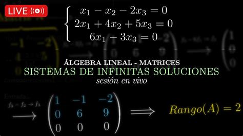 Así se resuelve un sistema de ecuaciones con infinitas soluciones AL