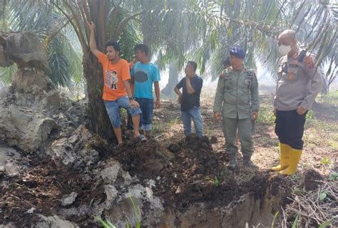 15 Hektar Lahan Gambut Di Asahan Terbakar Polisi Curigai Unsur