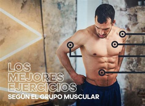 Los Mejores Ejercicios Para Cada Grupo Muscular
