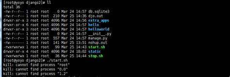linux学习20 nohup挂后台启动django kill cannot find process core 5969 csdn博客