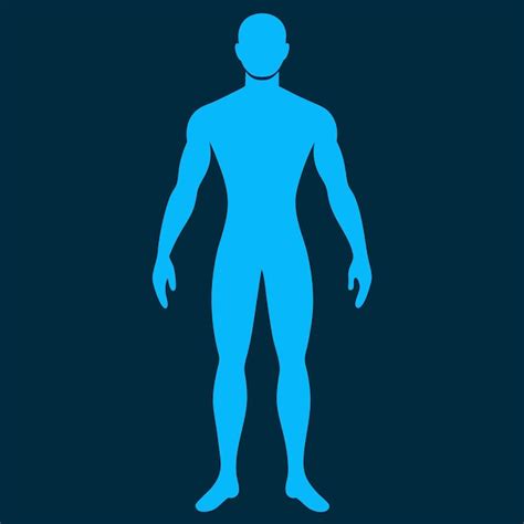 Corpo humano completo Arte de imagem de silhueta para ilustração