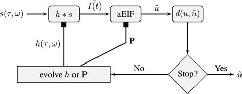 schematic of the flow of the strf neuron cascade model optimization download scientific diagram
