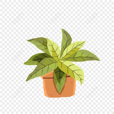 Plantas En Macetas Png Im Genes Gratis Lovepik