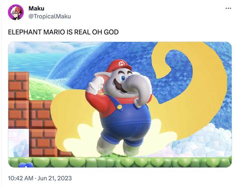 Elephant Mario Is Real Elephant Mario Know Your Meme