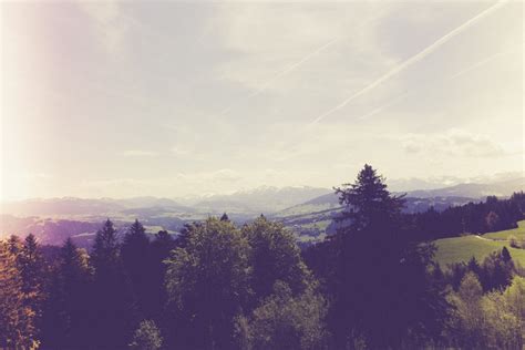 Fotos gratis paisaje árbol naturaleza bosque horizonte montaña