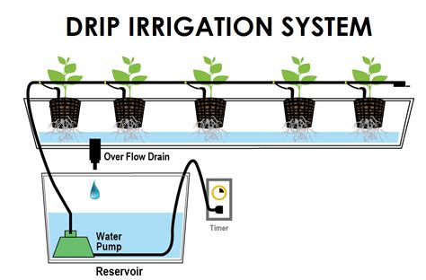 Diagram Of Drip Irrigation System Drip Irrigation System And