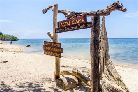 Satu Hari Paket Tur Kawah Ijen Dan Baluran Hanya Rp 400 000 Di Tiket