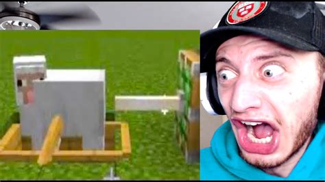 Offensive Memes Try Not To Laugh Reaction Youtube