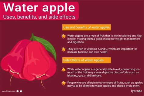 Water Apple Uses Benefits Side Effects And More By Dt Pamelia