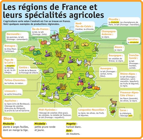 Autour de la gastronomie Carte Régions françaises et leurs spécialités