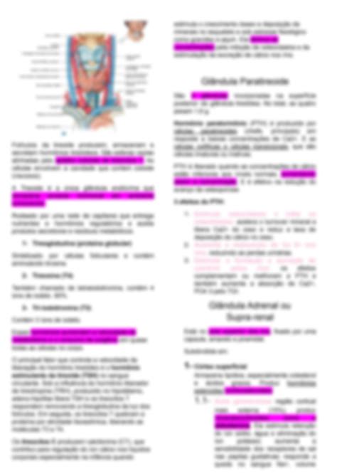 SOLUTION Aula 2 Sistema End Crino Docx Studypool
