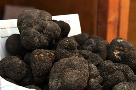 Edizione Della Fiera Del Tartufo Nero Di San Pietro Avellana