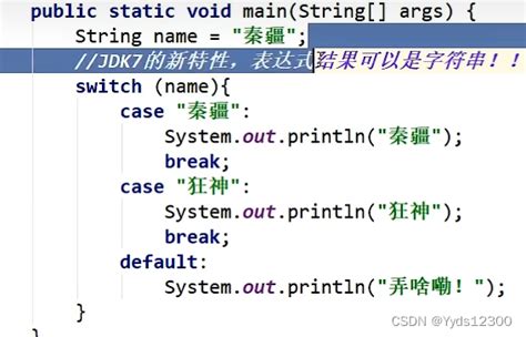 java顺序结构 csdn博客
