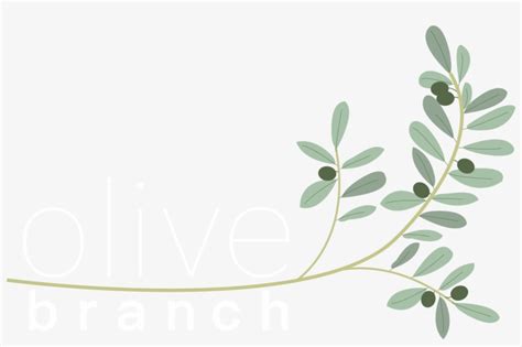 Png Olive Branch Olive Tree Branches Png Clip Art Library