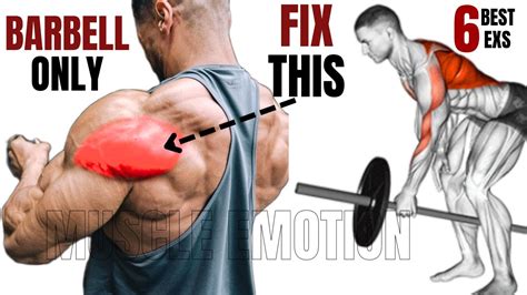 6 BEST REAR SHOULDERS WORKOUT WITH BARBELL ONLY YouTube