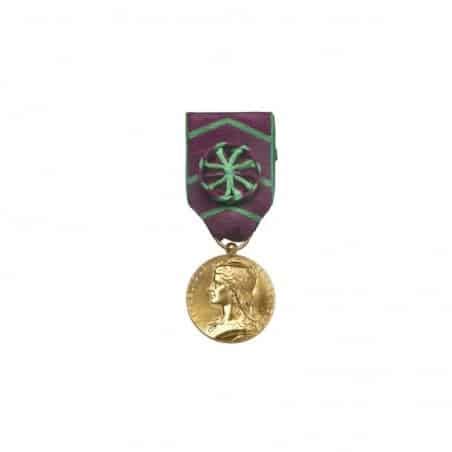 Médaille d Honneur de la Protection Judiciaire de la Jeunesse Or