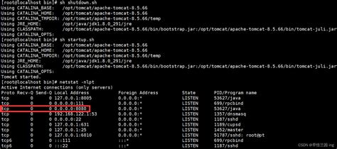 linux环境里配置了tomcat但是浏览器无法访问 linux tomcat嗯… 无法访问此页面 csdn博客