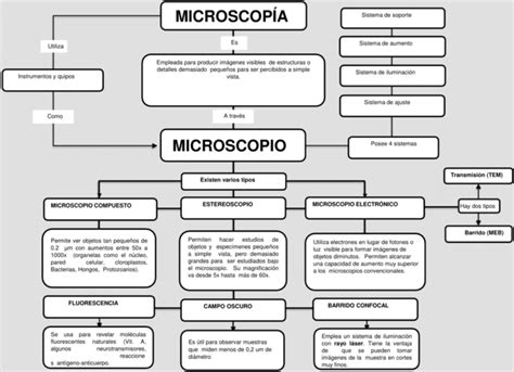 Mapas Conceptuales Del Microscopio Descargar