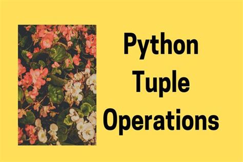 python tuples an overview with code examples