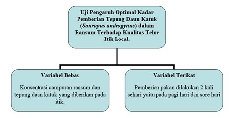 Detail Gambar Kerangka Konseptual Koleksi Nomer 13