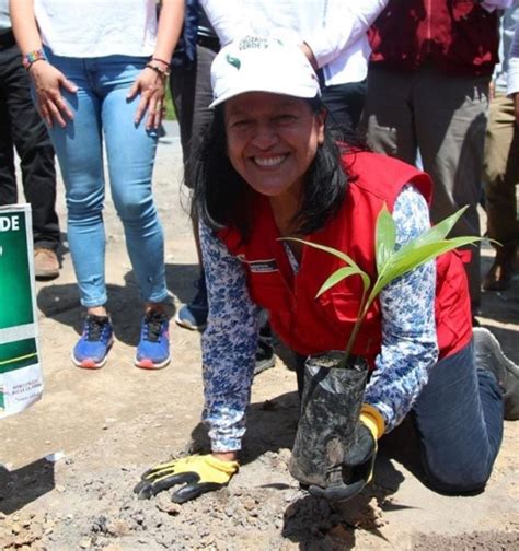 Inicia Gran Cruzada Verde En Alto Mayo Diario Ahora