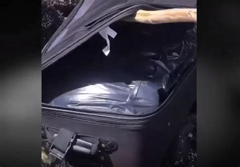 Video así se llevó el asesino de Valentín Alsina el cuerpo