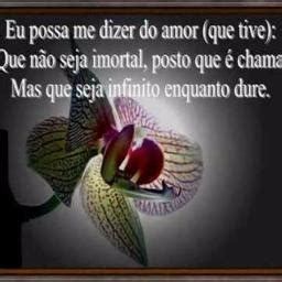 EU SEI QUE VOU TE AMAR Tom Jobim Song Lyrics and Music by Sôneto da