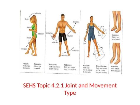 PPTX SEHS Topic 4 2 1 Joint And Movement Type Outline The Types Of