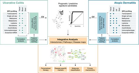 Frontiers ImmUniverse Consortium Multi Omics Integrative Approach In